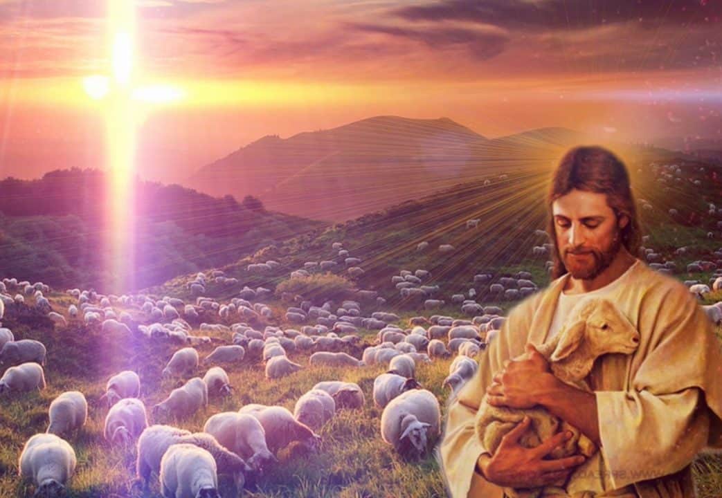 Meditacija: Gospod je moj pastir - Operando.org